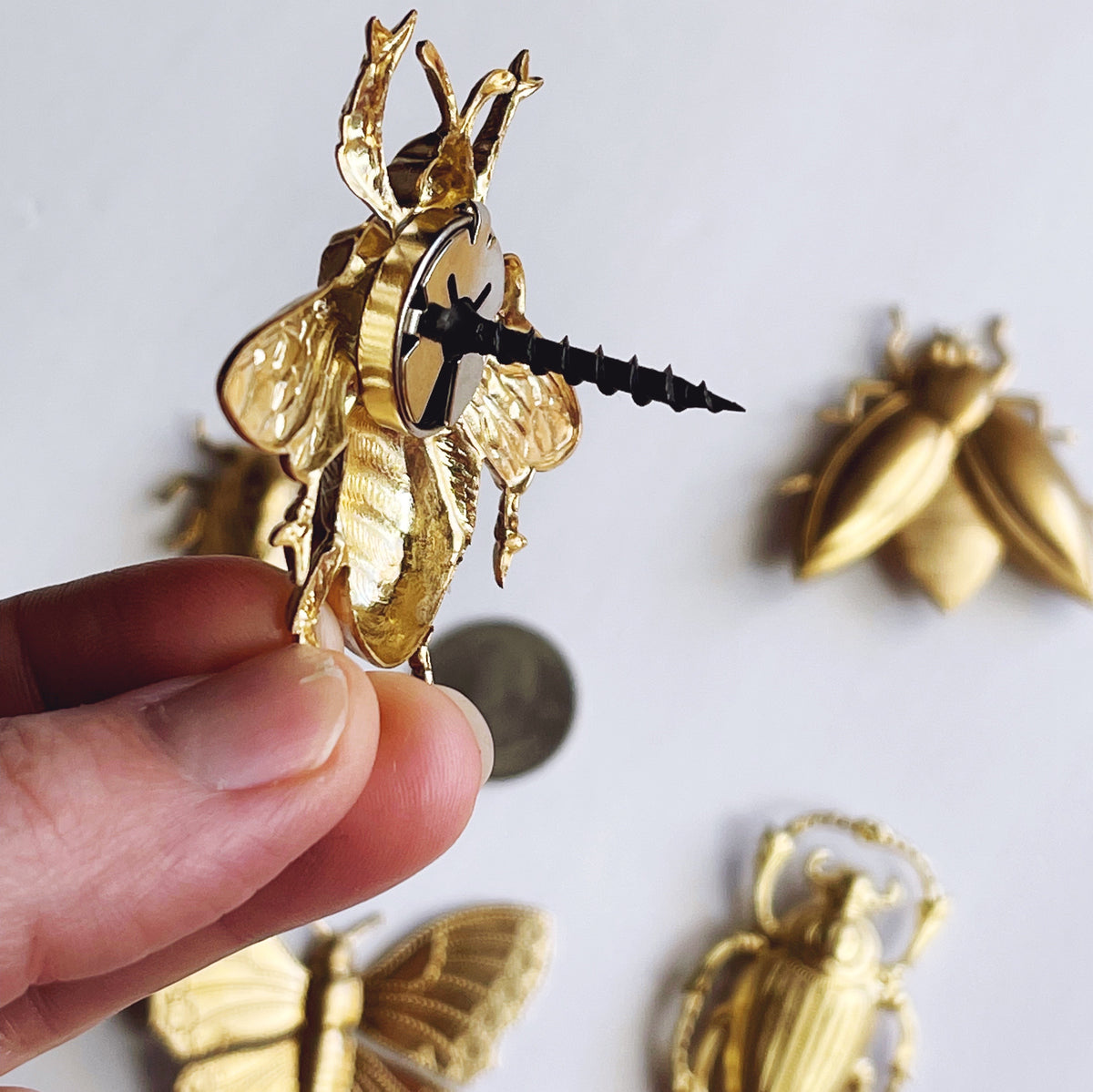 Brass bug suspend.it